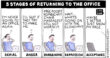 Returning to the Office cartoon - Marketoonist | Tom Fishburne